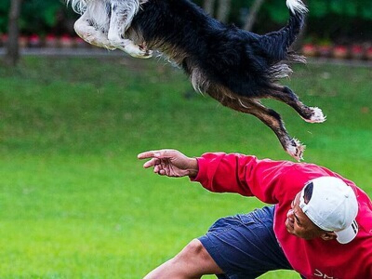 Mike Piazza and The Flying High Dogs | Westwood Minute